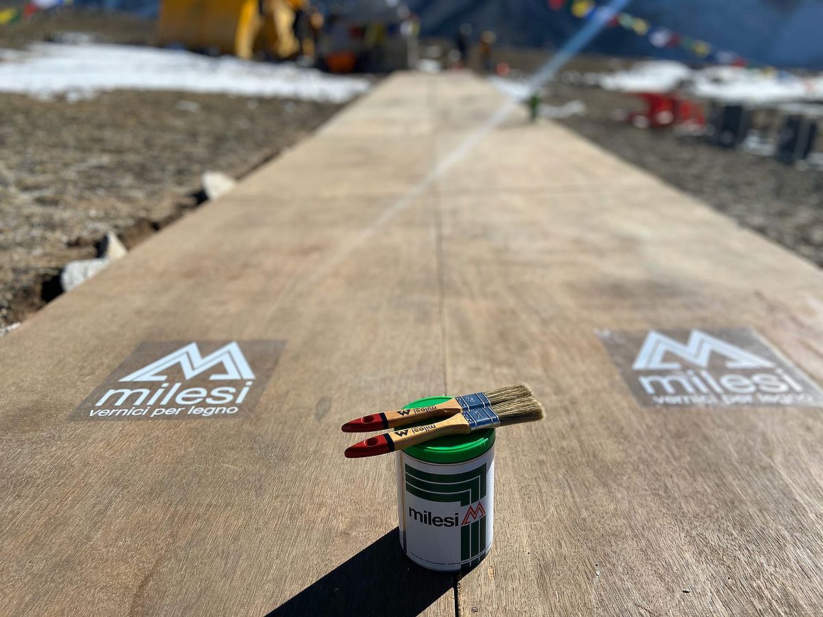 Milesi per Mt Everest Fashion Runway | IVM Chemicals | Lignius